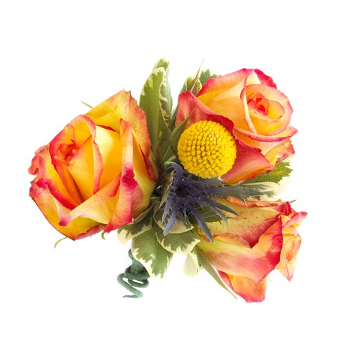 Cocarda 7 - Floraria Sofia