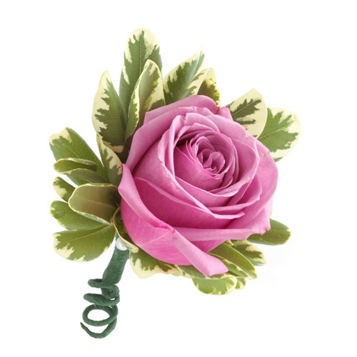 Cocarda 7 - Floraria Sofia